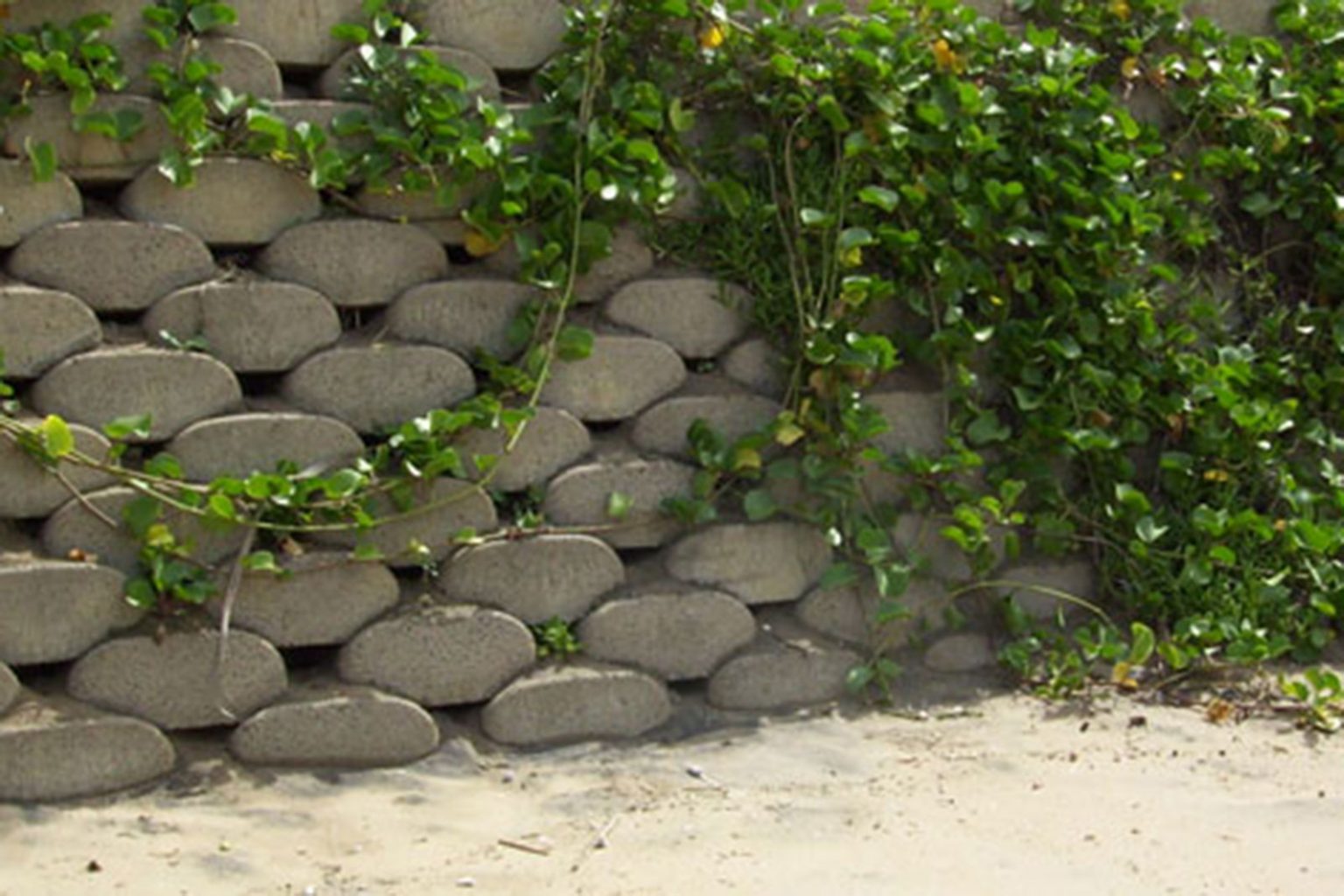 Coastal Erosion Solutions – sandCELL A cost-effective, long-term ...